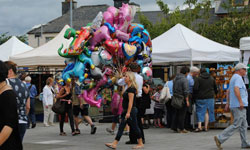 Puck Fair | Festivals & Events Ireland | B&B Ireland
