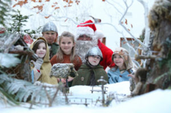 Waterford Winterval | Ireland’s Christmas Festival | Irish Festivals